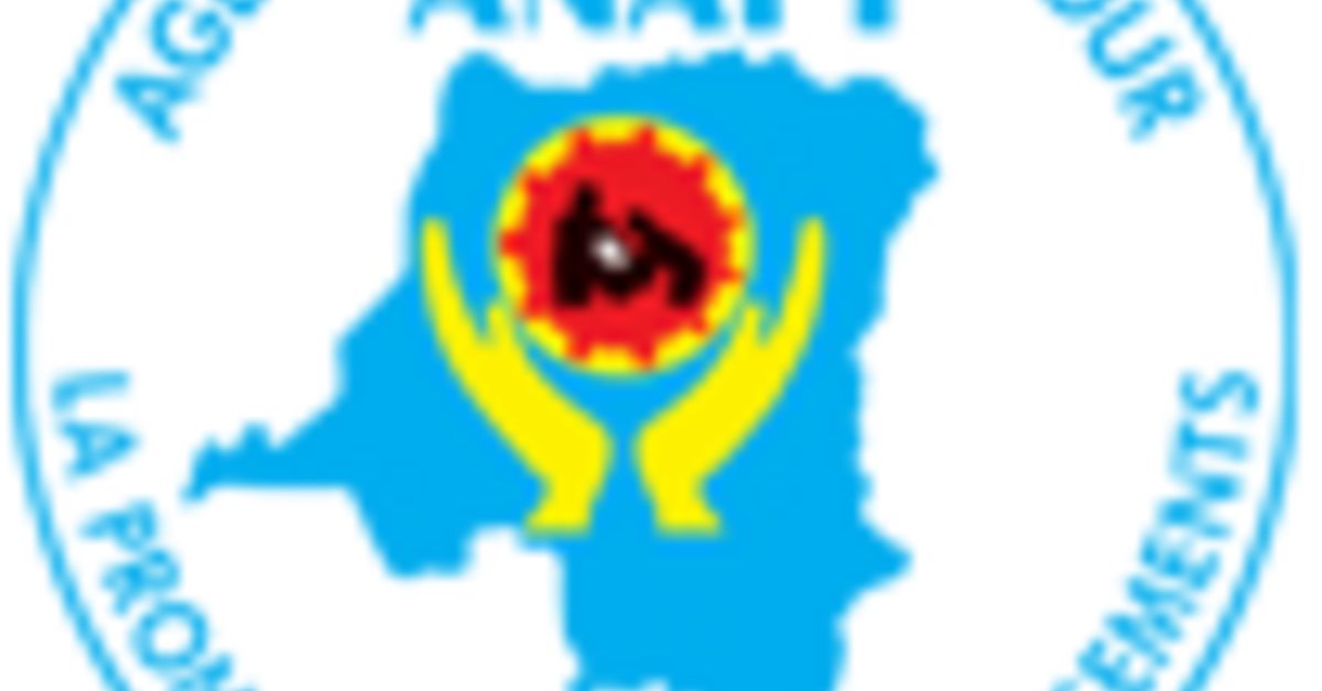 Avantages que l'ANAPI accorde aux investisseurs | CCI FRANCE CONGO